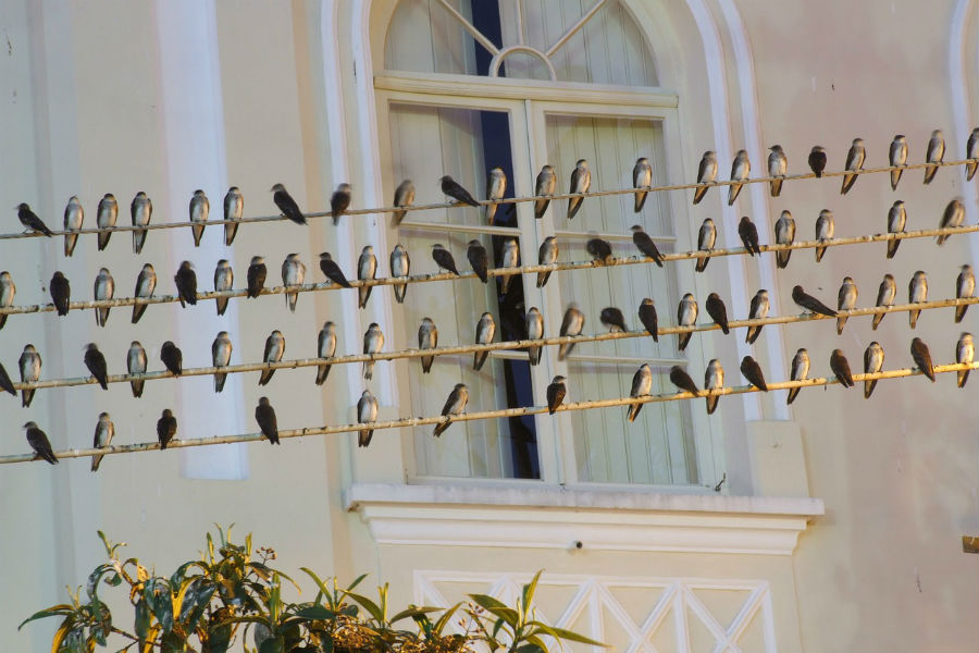 How to Create Activity With Social Media - Lighthouse Virtual Solutions